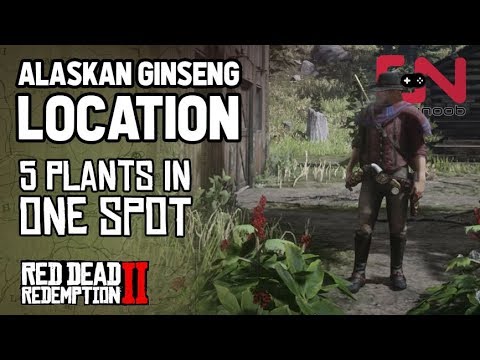 All 5 Alaskan Ginseng Plants in One Location - RDR2 Online Daily ...