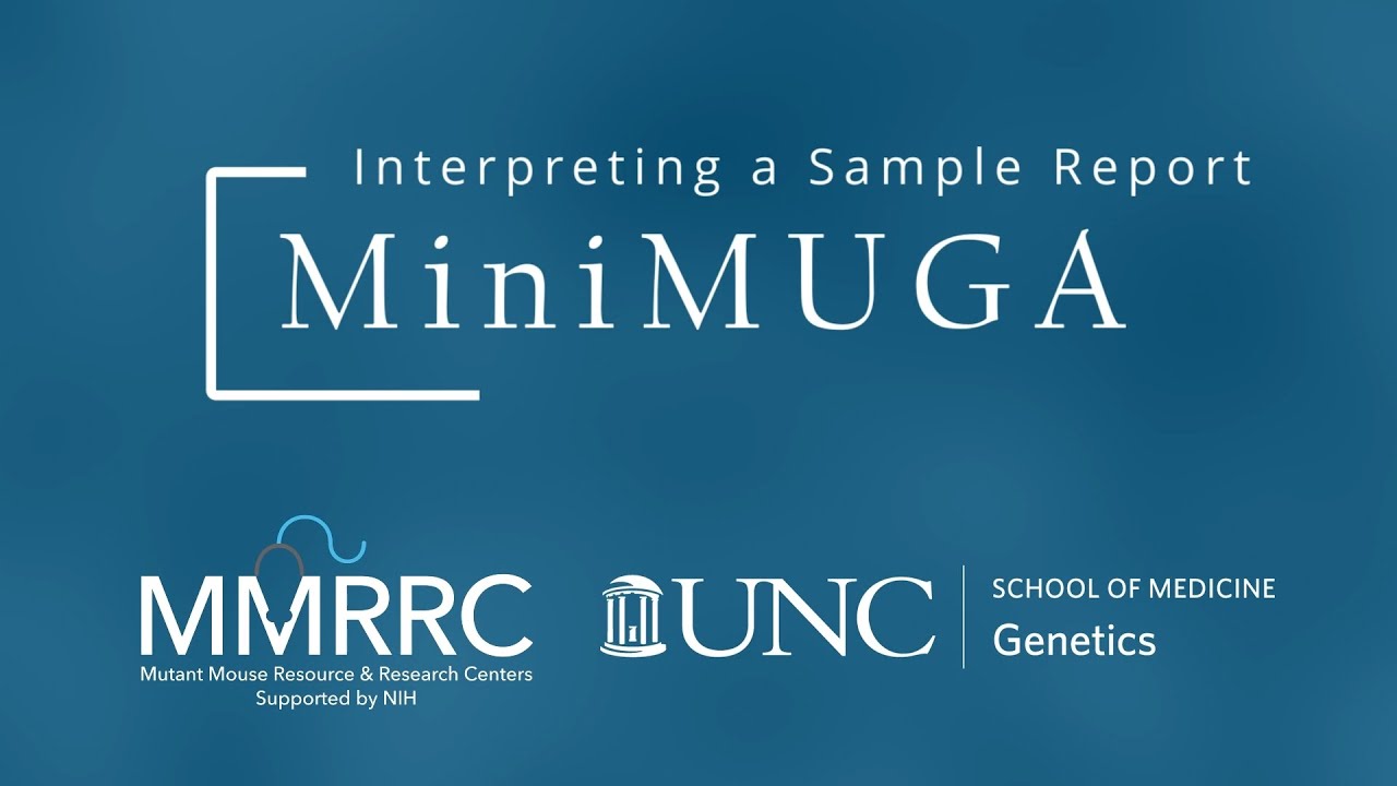 MiniMUGA - Interpreting a Sample Report - YouTube