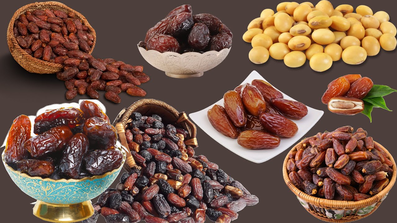 Date Palm ( Khajoor ) PNG Free Download - YouTube