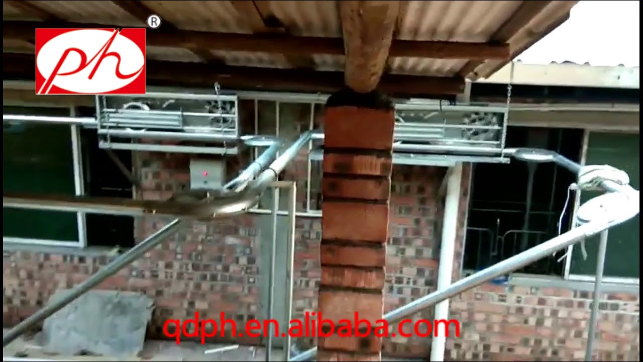 auto pig feeding system - YouTube