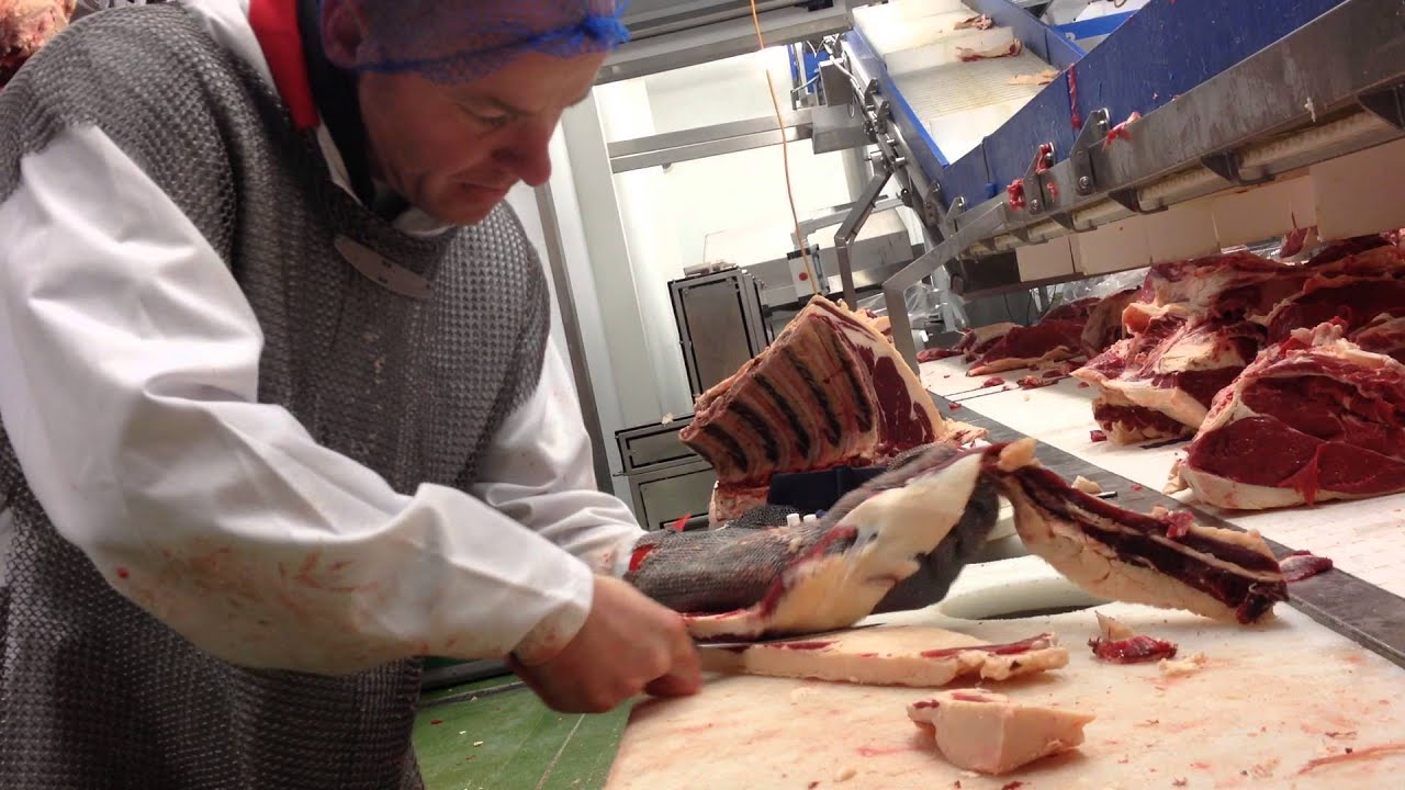 butcher school 8, part 1, boning beef hind quarter down to it's primals ...