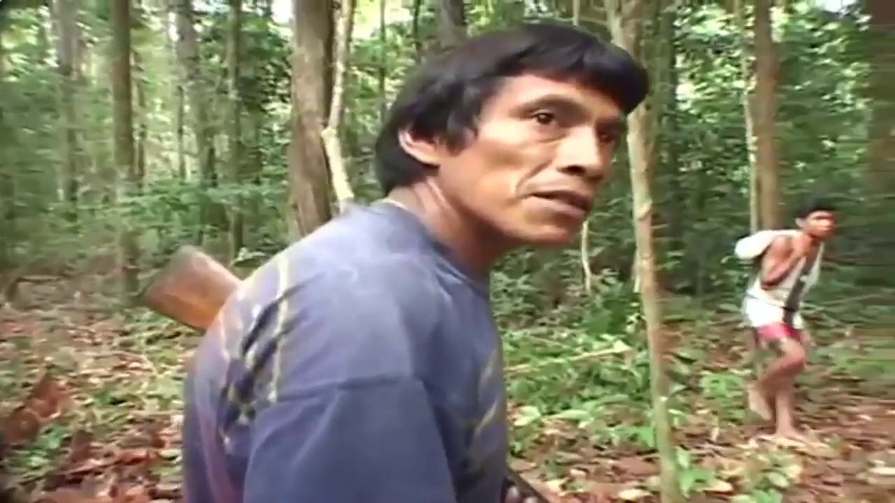 Yanomami Tribes Amazon 2017 People People Video in Amazon Rain Forest ...