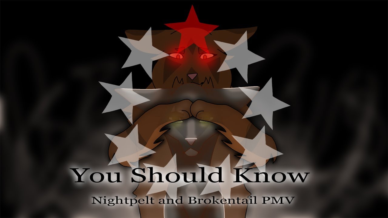You Should Know | Nightpelt & Brokentail [Warrior Cats PMV] - YouTube