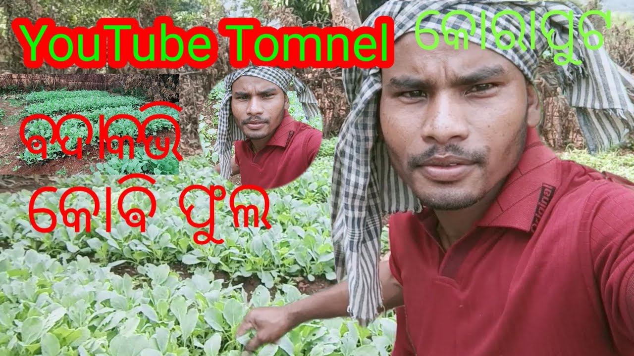 how to Vulak) ଆରମ୍ଭ ରୁ ସେଷପଜୈନ୍ ଦେଖନ୍ତୁ ଭିଡ଼ିଓ Trinath chapadi ...