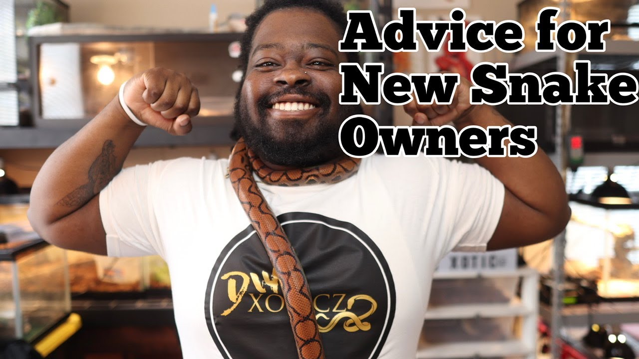 Advice For New Snake Owners | Things I wish I Knew - YouTube