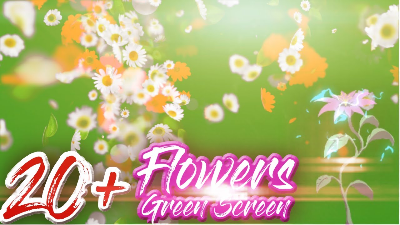 Flowers Green Screen (20+ Effects in 4K / Free Download Link) - YouTube