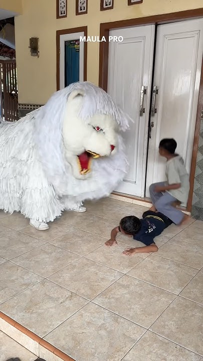 Dikagetin can macanan, bapaknya marah - YouTube