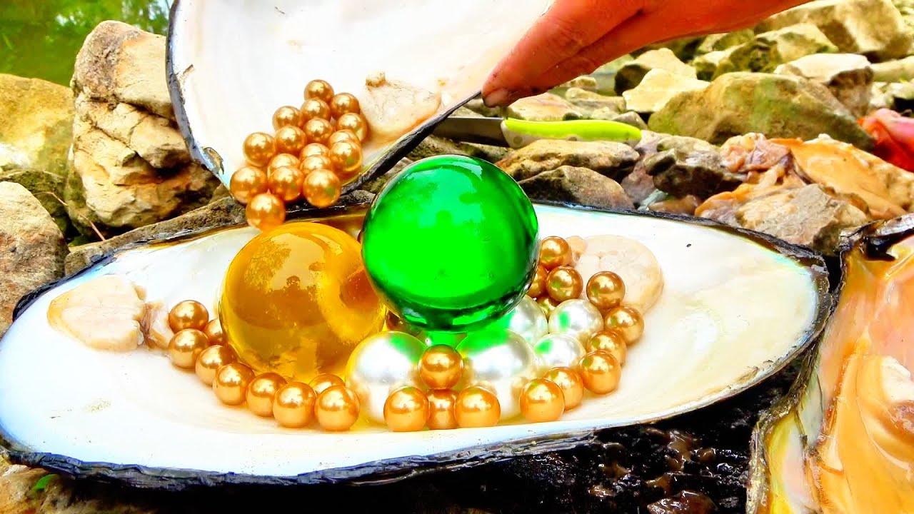 The giant Harry collected in the wild, unleashing a stunning and ...