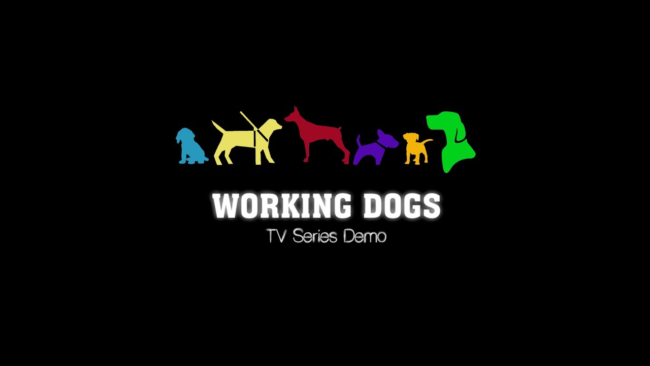 Working Dogs - Television Series Demo - YouTube