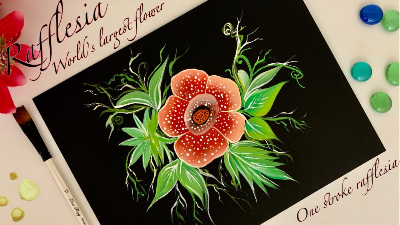 Day 11 Rafflesia-The largest Flower | One stroke acrylic rafflesia ...