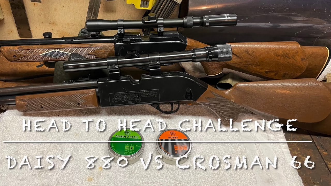 Head to head challenge Daisy 880 vs. Crosman 66 .177 caliber multi pump ...