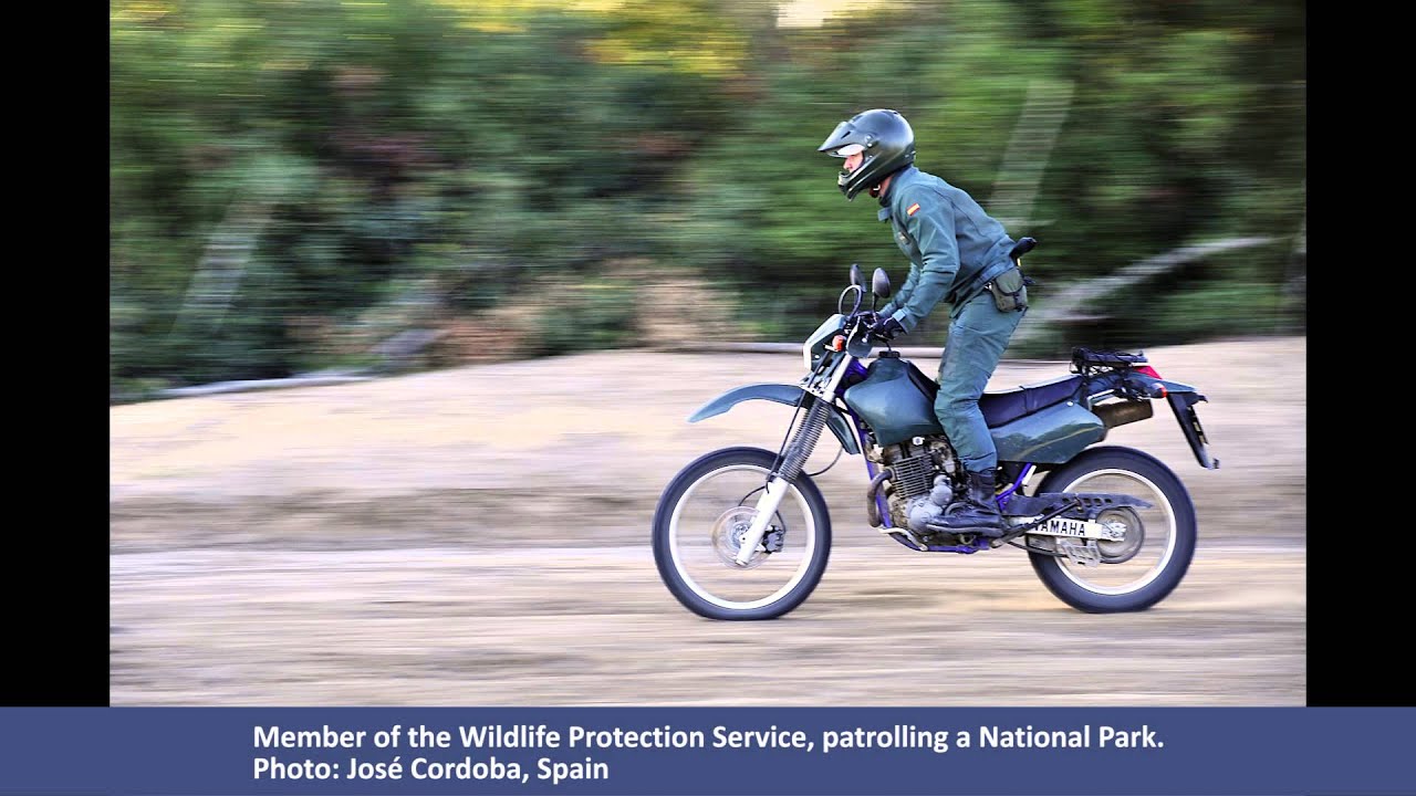 Europol law enforcement photo competition : Motorcycles - YouTube