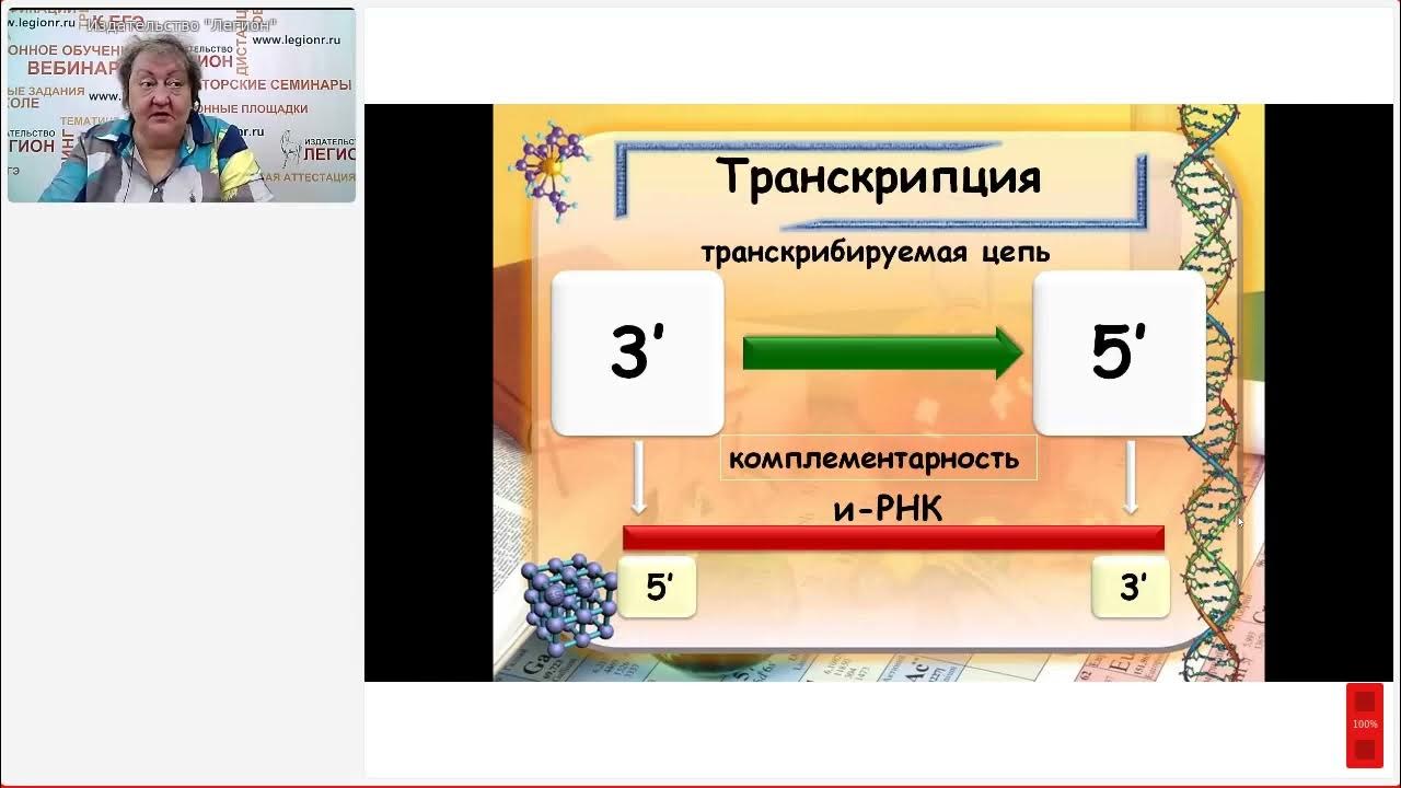 Подготовка к ЕГЭ по биологии. Трудные вопросы раздела «Молекулярная ...