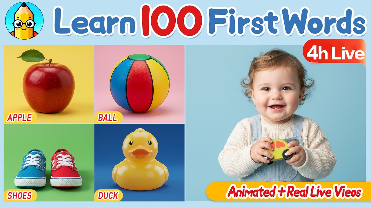 First 100 Words — 4 Hour Learning Live 🧸📚 | Toddler Vocabulary, Baby ...