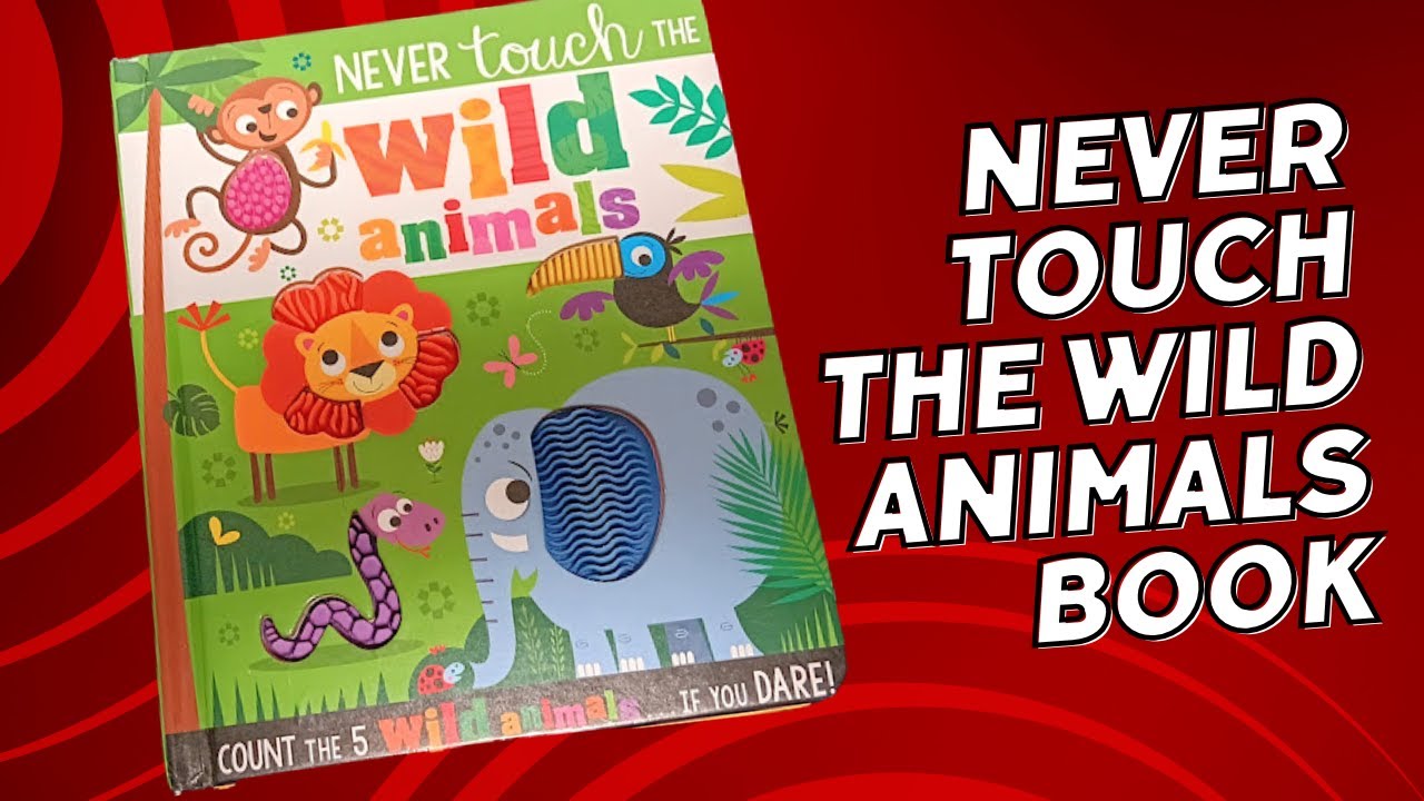 Never Touch the Wild Animals Board book – Touch & Feel - YouTube