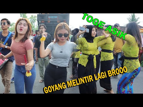 BAHAGIANYA GO-YANG-AN PENGIRING 2X B0H4Y