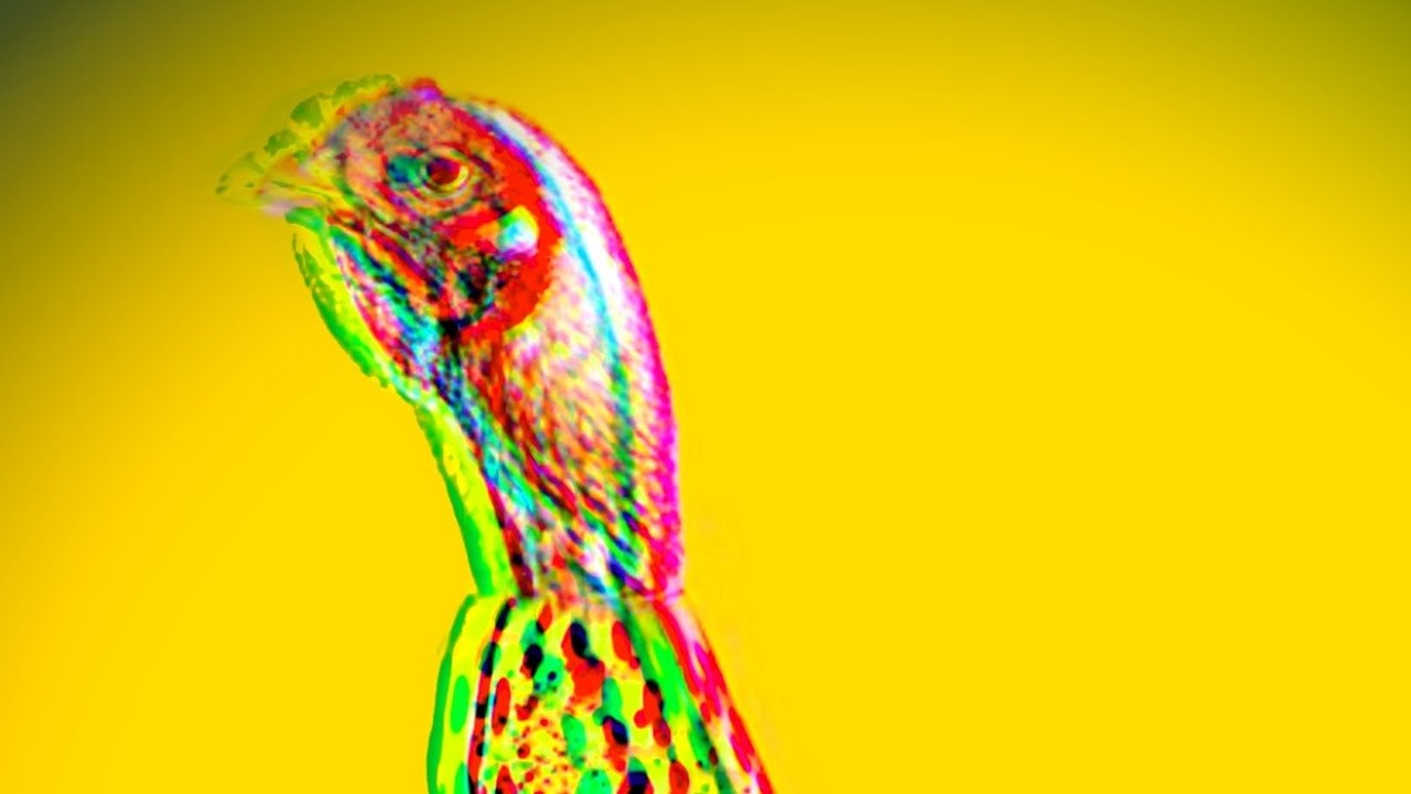 08. Doza Crew - Chicken Banana (Pox Mix) - YouTube