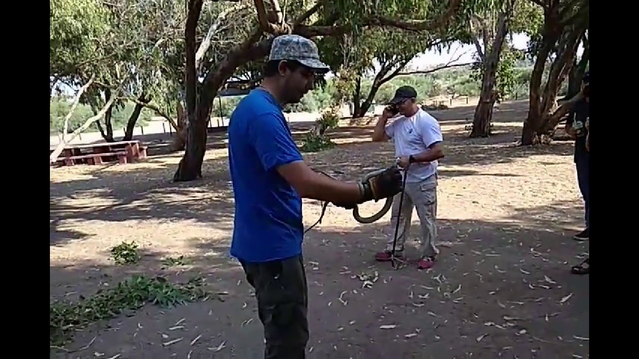 Viper training Paphos 2019 - YouTube