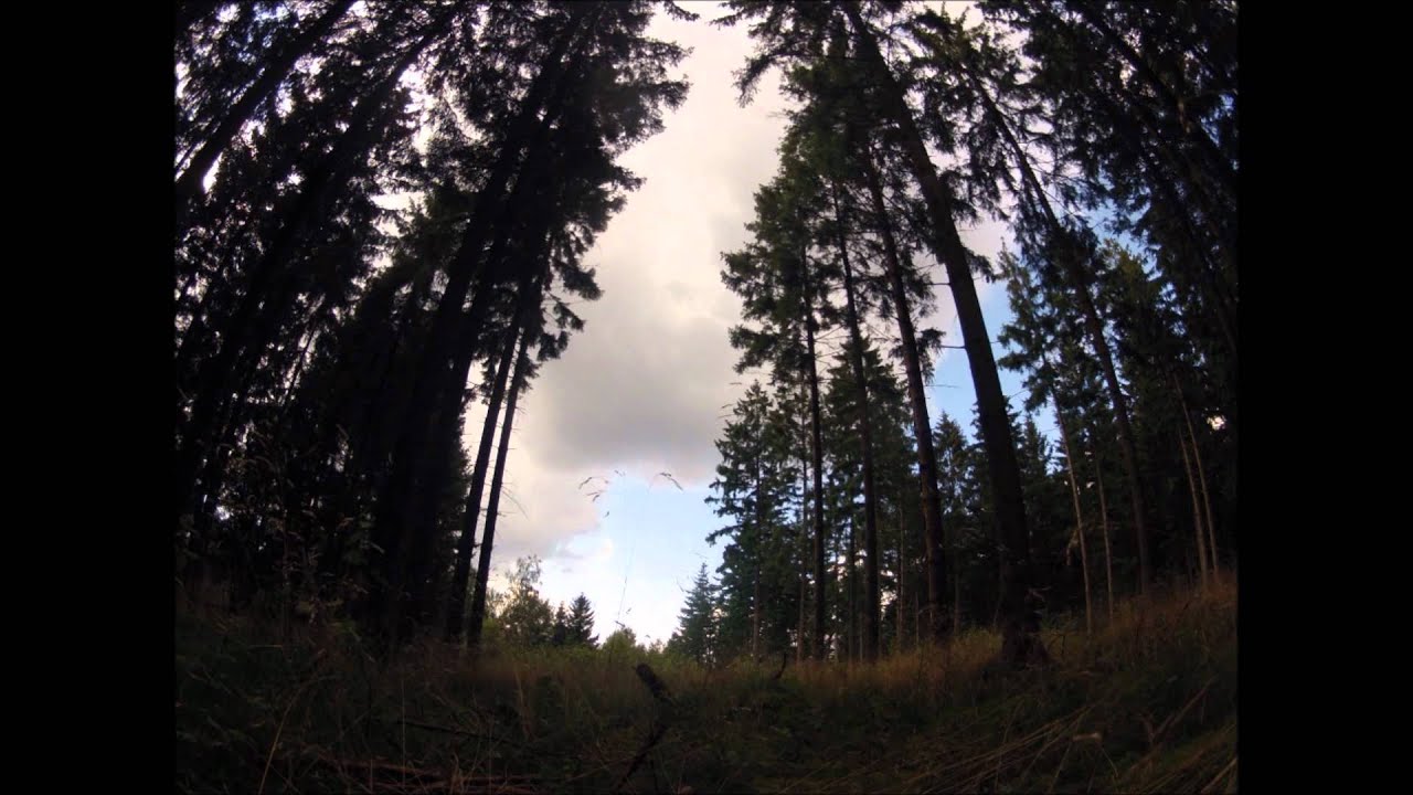Time Lapse - Forest and Sky - GoPro HD Hero 2 - YouTube
