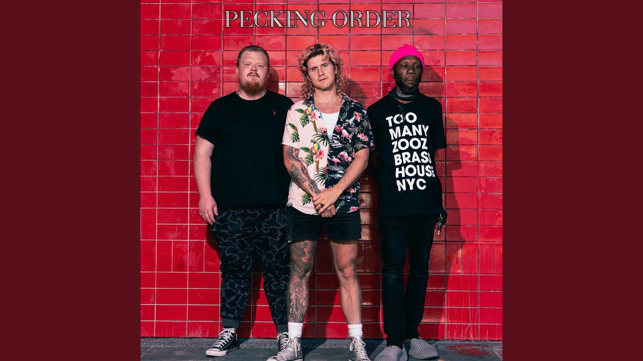 Pecking Order - YouTube