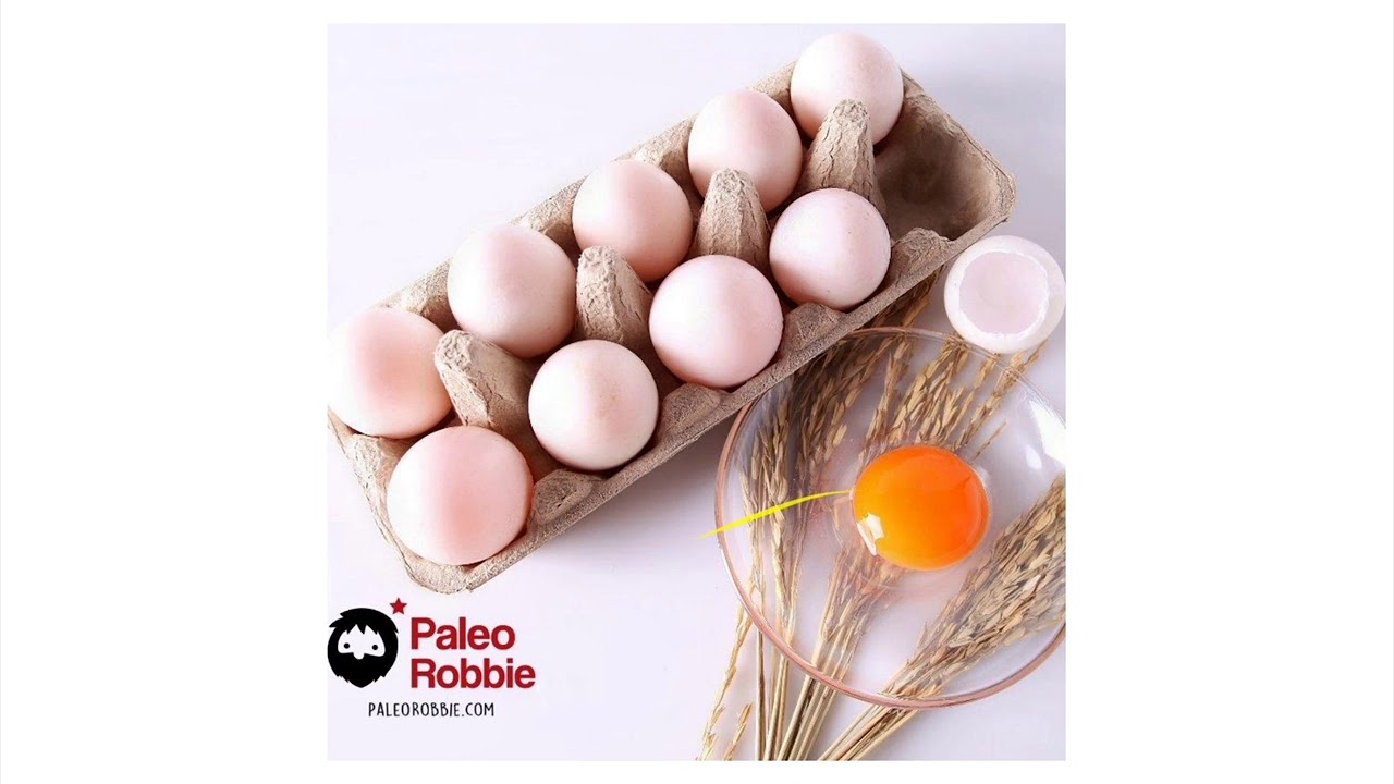 How to Feed the World & Why Humans Should Eat Meat - YouTube