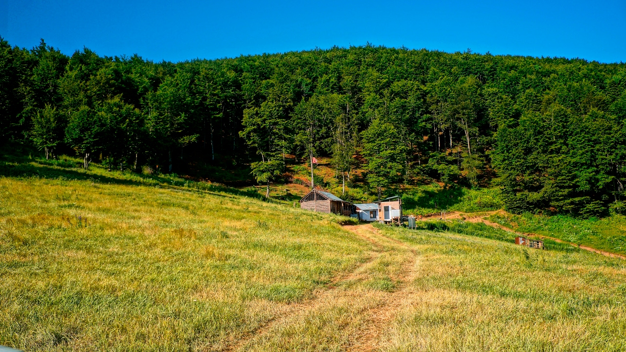 Ermal Onuzi Live Stream - YouTube