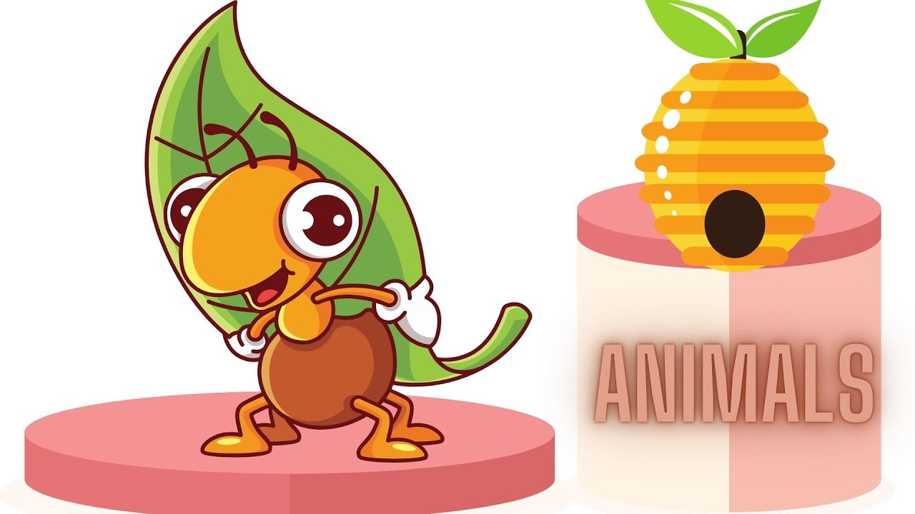 Kids fun learning I Fruits I animals I Abcd - YouTube