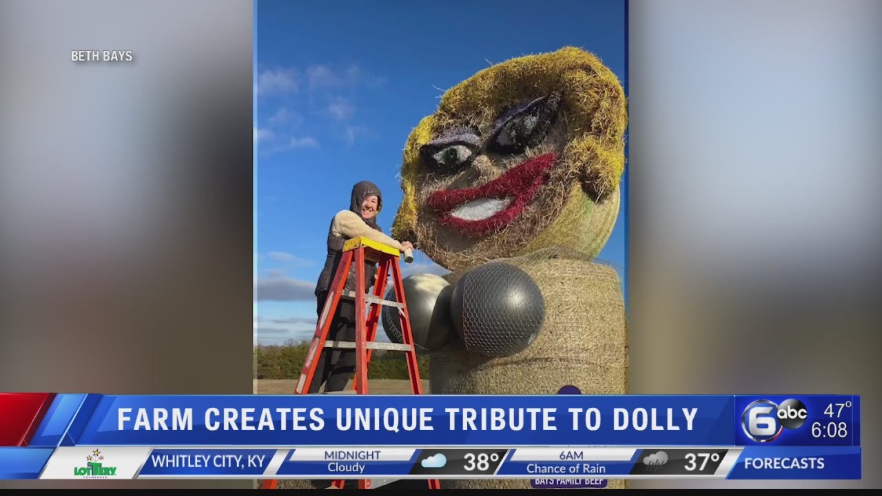 Farm creates unique tribute to Dolly Parton - YouTube