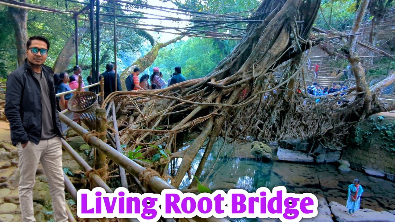 Living Root Bridge | Mawlynnong | Riwai village #Meghalaya # ...