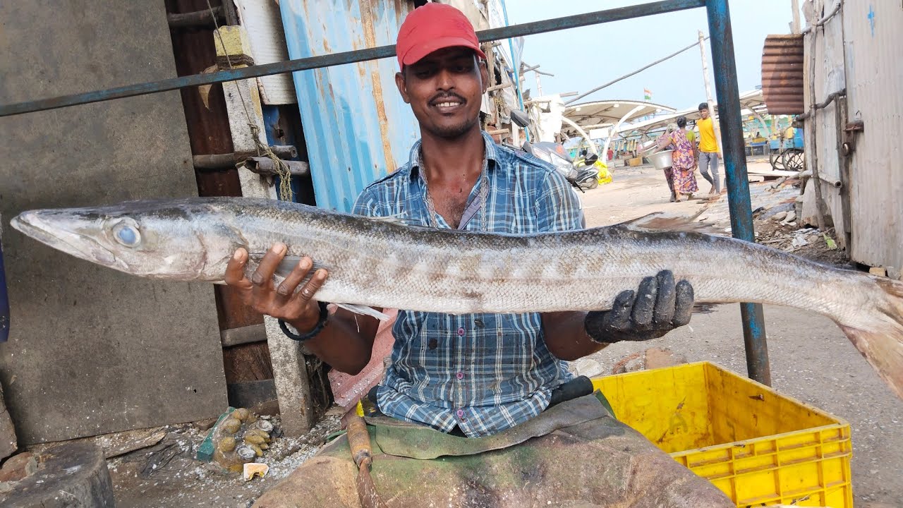 sila fish cutting video/fishcuttingrs #fishcuttingrs #fish #kasimedu ...