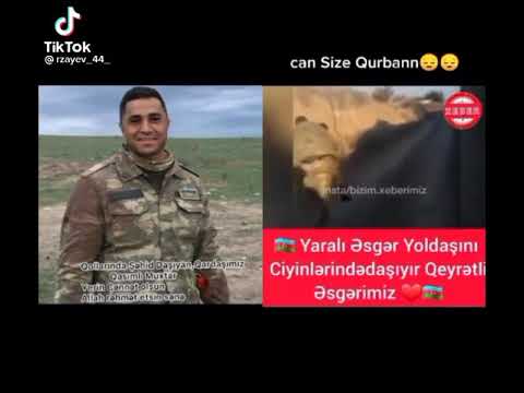 Can sehdim ciynide yalari esger dostunu dasiyan sehdimiz qasimli Muxtar