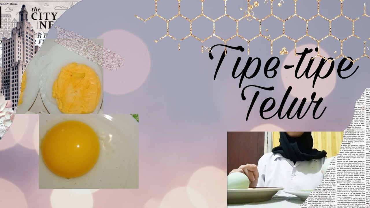Tipe-tipe Telur (Ayam, Bebek dan Puyuh) - YouTube