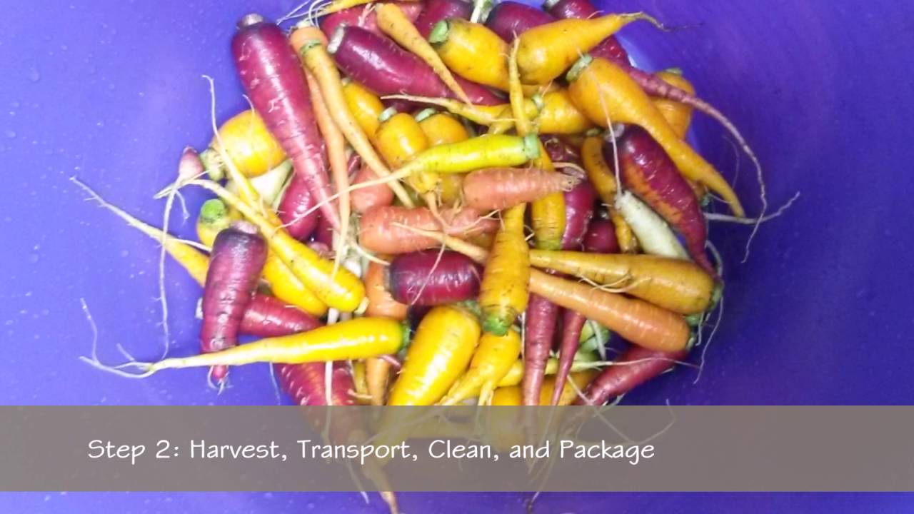 ArtsRiot Grow! Burlington, Adam Claussen and Marley Myers - YouTube