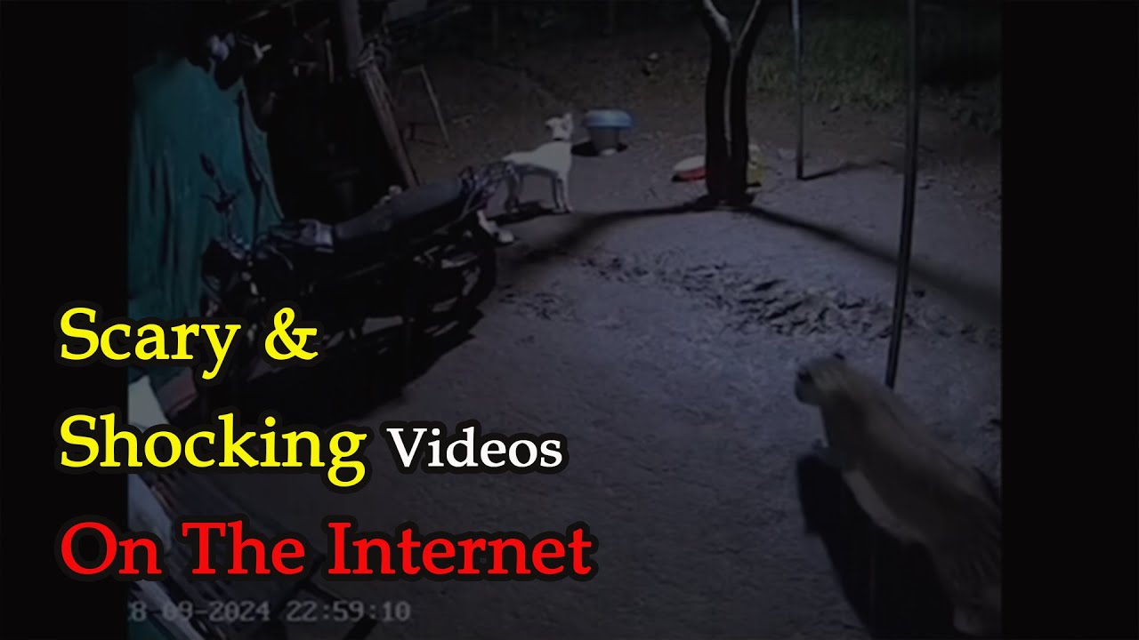 Distressing things from the internet | Scary videos that will leave you ...