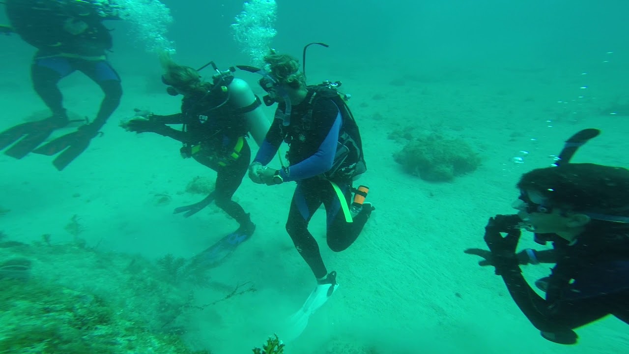 Florida Keys Scuba Diving, Wreck Dive - YouTube