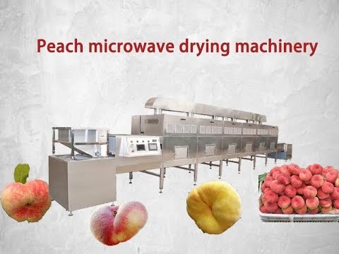 Peach microwave drying machinery - YouTube