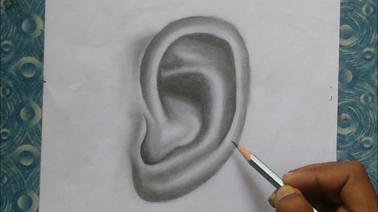 how to draw a realistic ear pencil shading tutorial | step by step # ...