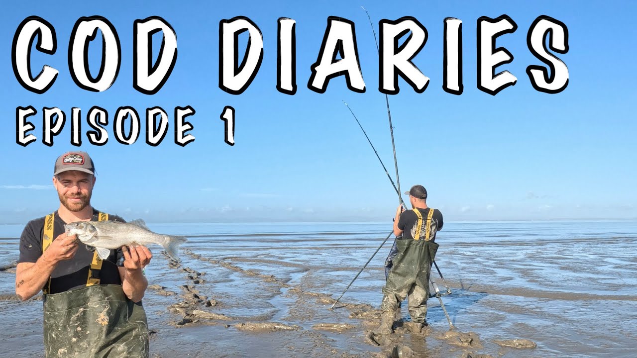 COD DIARIES PART 1 - shore fishing for cod on the Bristol Channel - YouTube