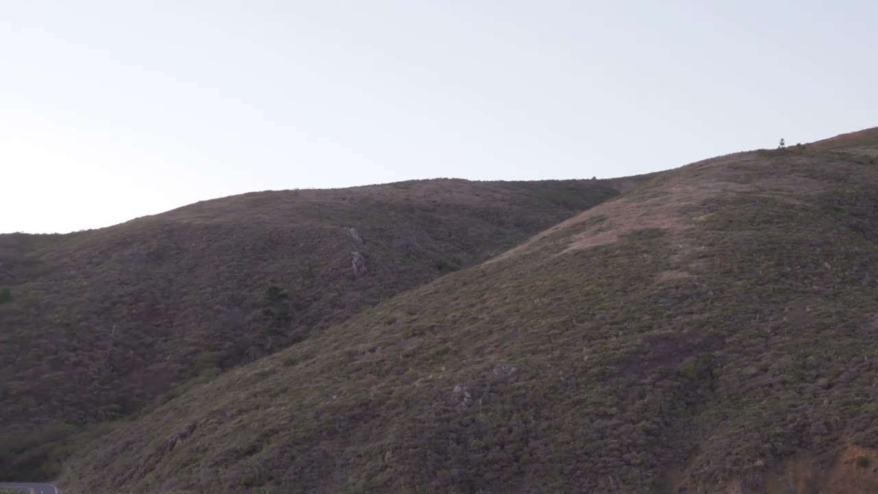 Regenerating Life - Hummingbird Films