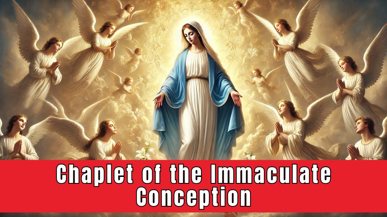 Chaplet of the Immaculate Conception | A Beautiful Marian Devotion ...