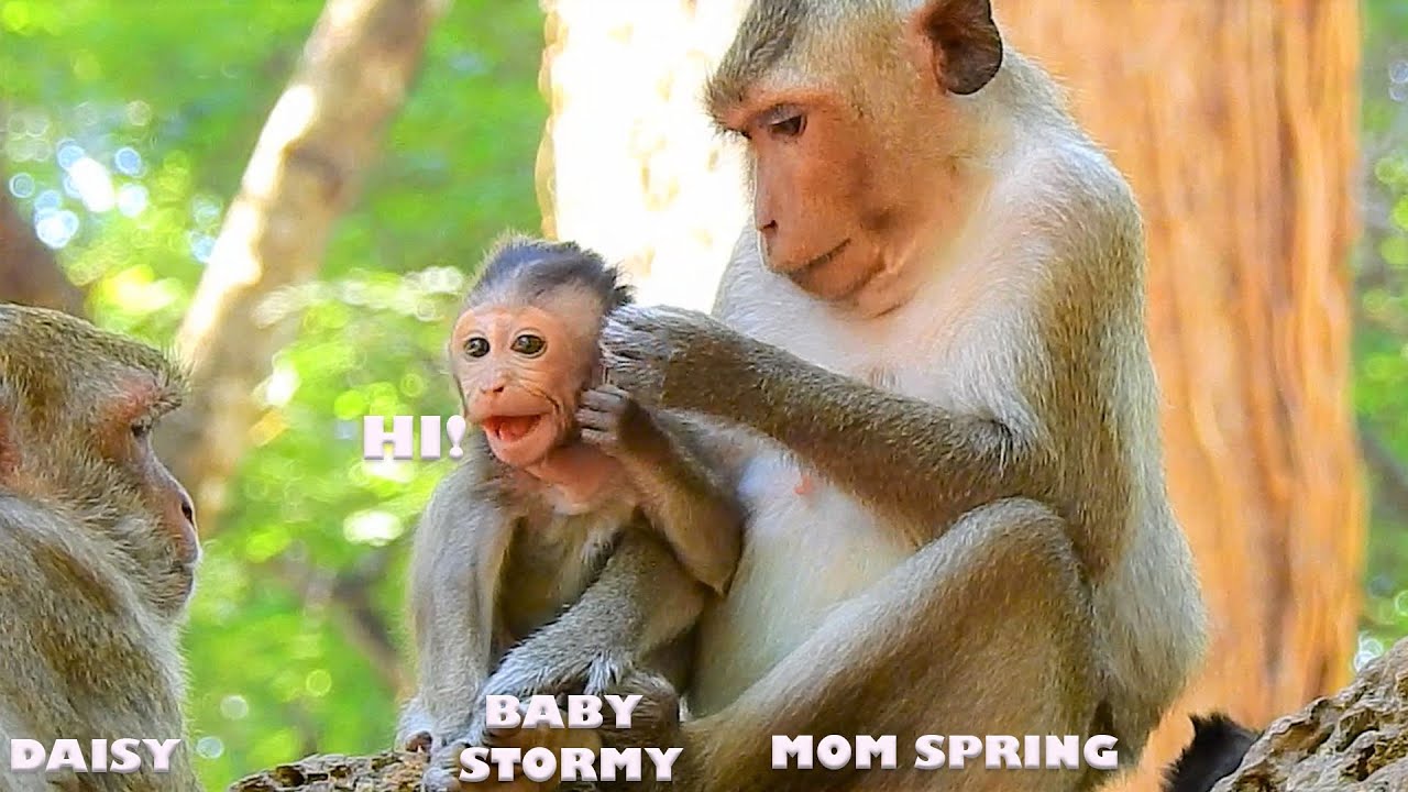 Young Mom Spring Take care adorable baby Stormy, Spring bring Baby ...