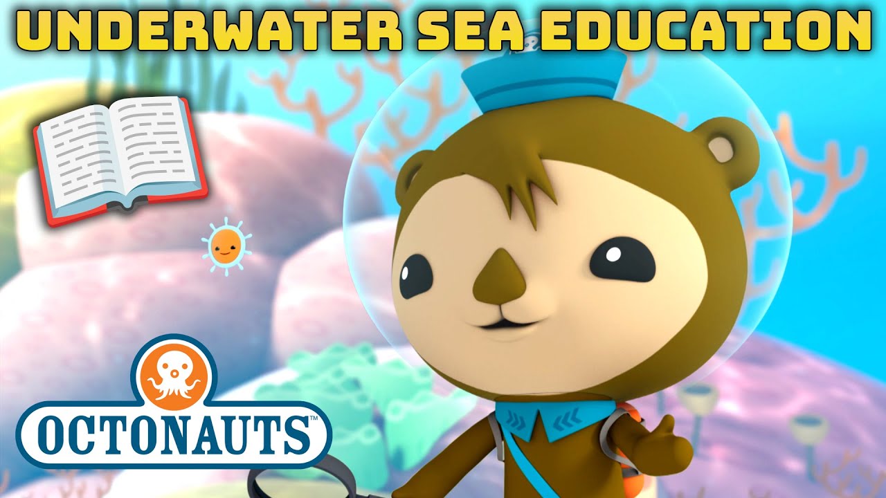 @Octonauts - 🌊 Underwater Sea Education with Shellington 🦦 ...
