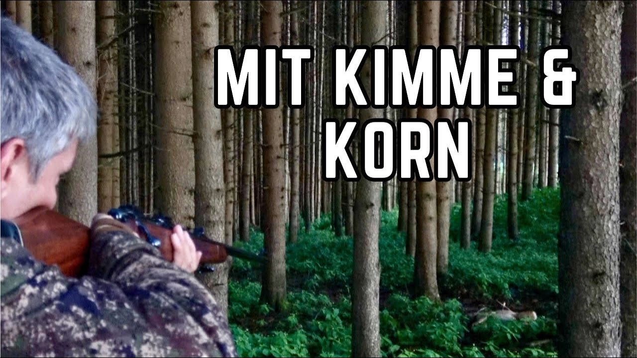 Blattjagd mit offener Visierung - Mit Kimme und Korn auf den Bock 2021 ...