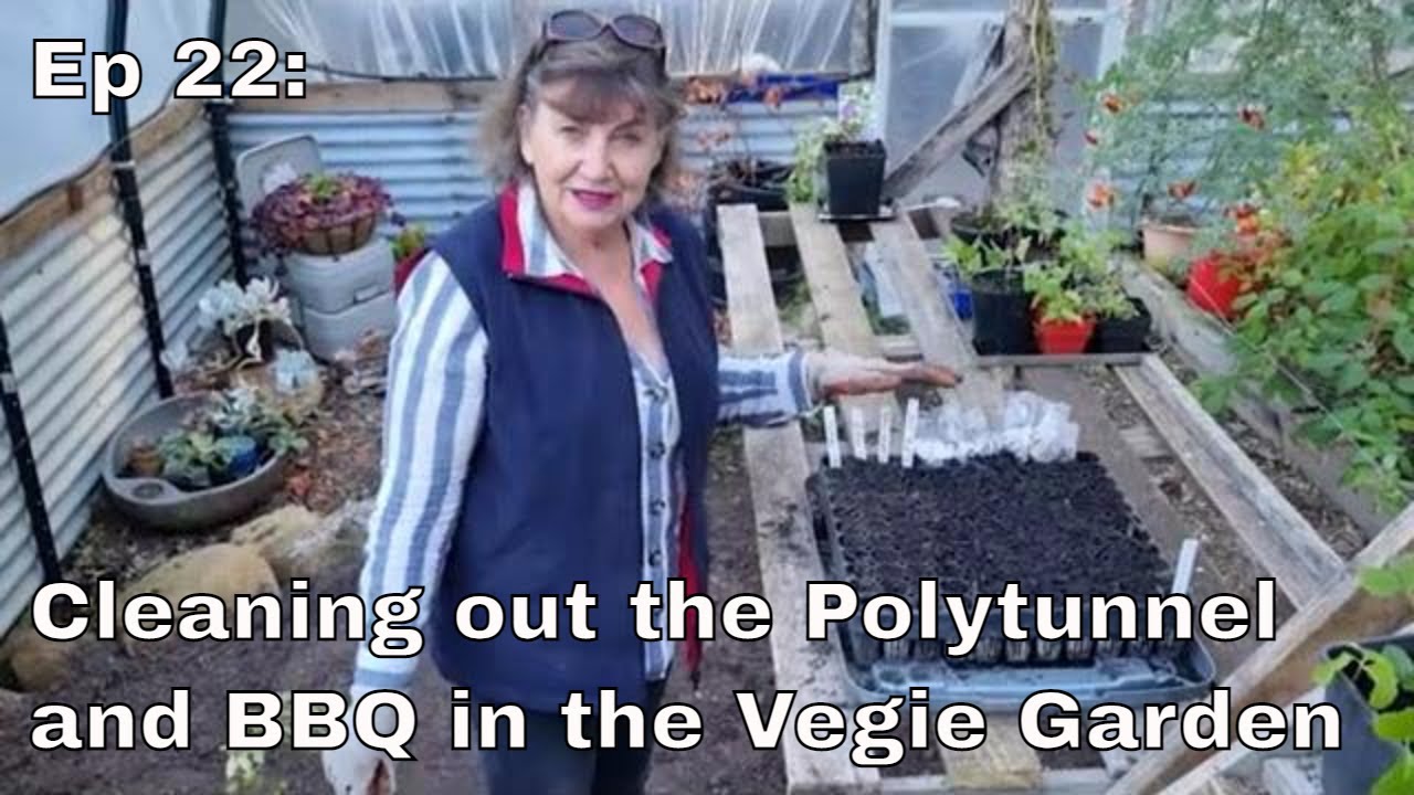 Ep 22: Cleaning out the Polytunnel and a BBQ in the Vegie Garden - YouTube