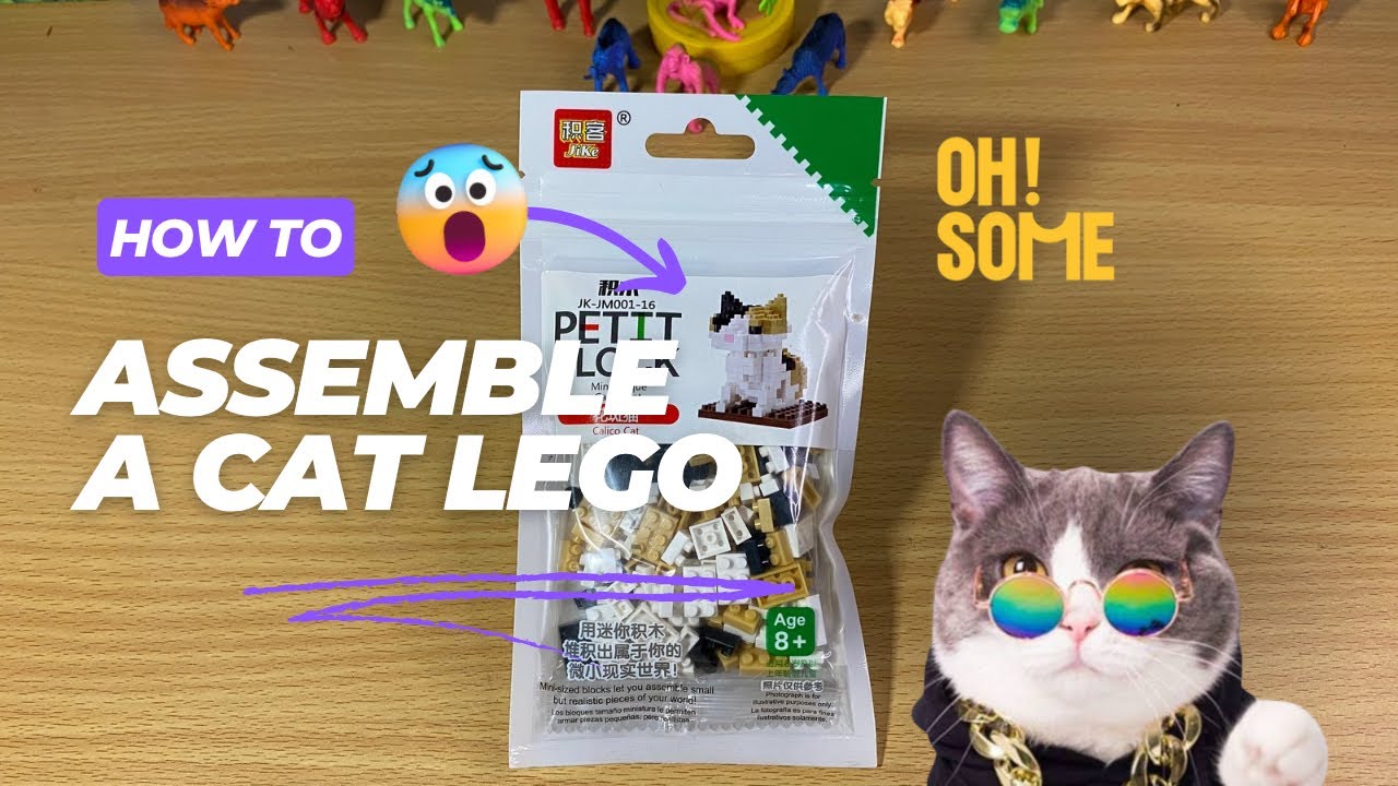 LEGO BRICKS KUCING…. Petit block dari. OH! SOME - YouTube