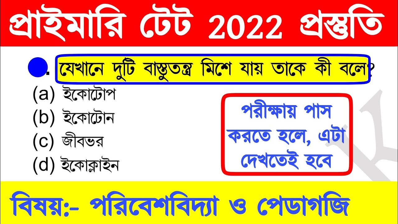 primary tet preparation 2022 | primary tet evs classes | primary tet ...