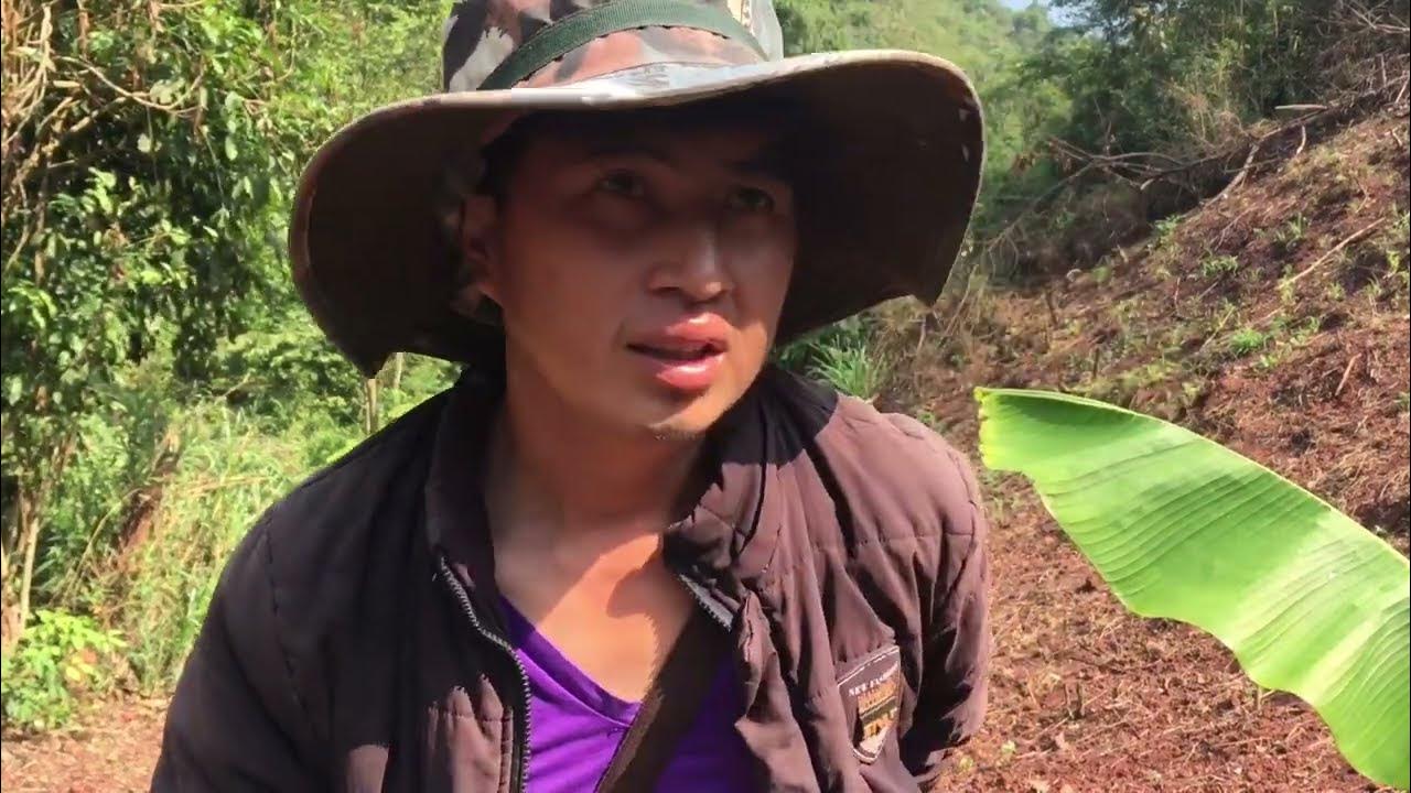 Mus cog pob kws qab zim pen teb - YouTube