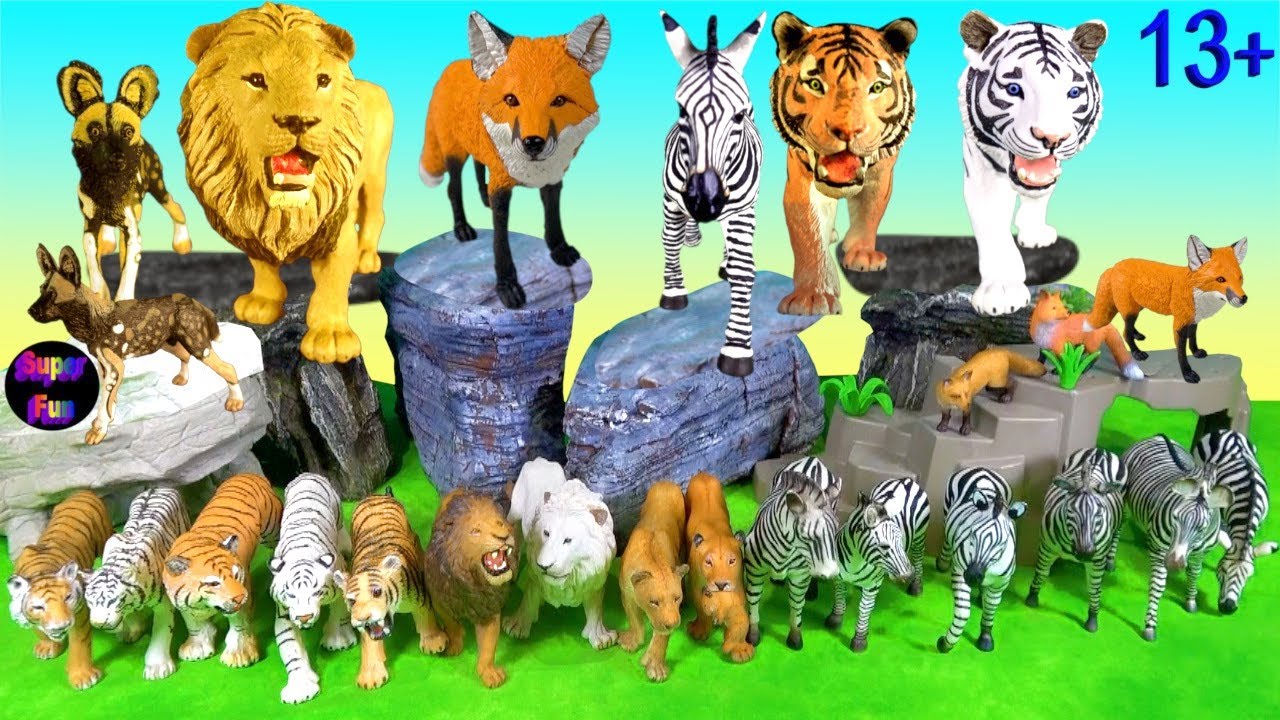 Big Cat Week 2021 - Zoo Animals - Lion Tiger Zebra Red Fox African Wild ...