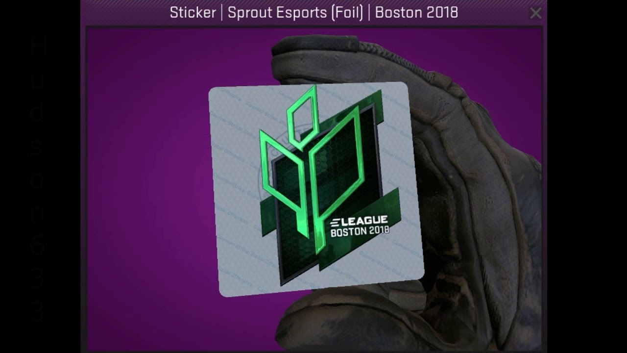 Sprout Esports Foil Boston 2018 - YouTube
