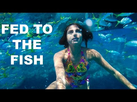 FED TO THE FISH!